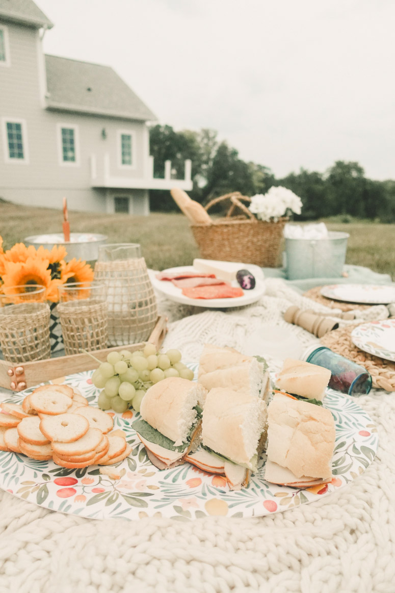 Summer Backyard Picnic